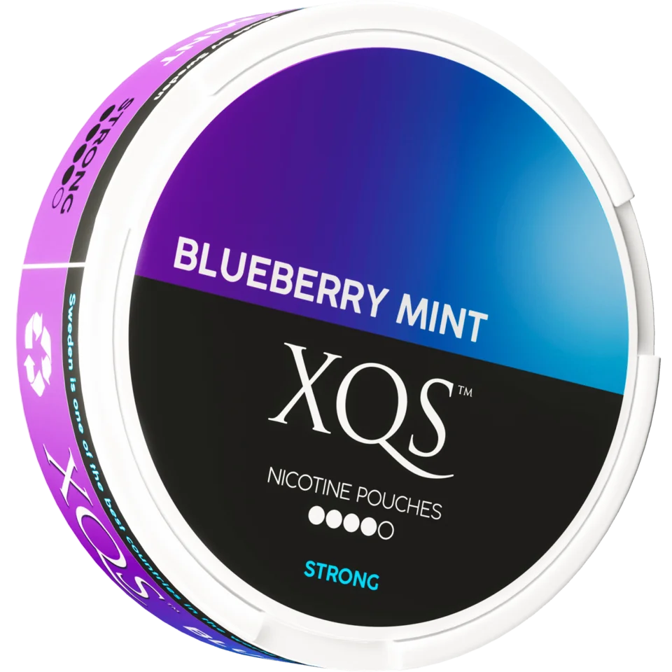 XQS Blueberry Mint 10 mg - Indie Smokes - Indie Smoke cigarette shop ...